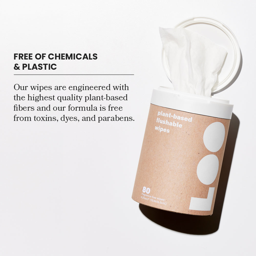 LOO - Classic Flushable Wipes Single Pack - 80 Wipes - Fragrance-Free ...